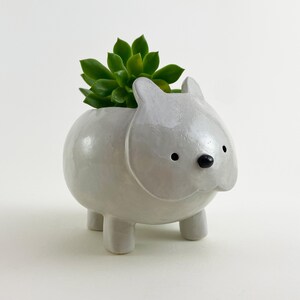 Wombat Planter, Choose Brown, Grey or Speckled, Ceramic Plant Pot ...