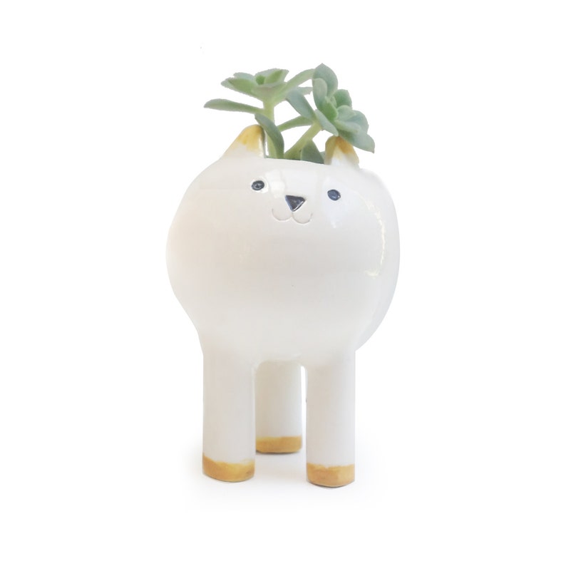 Cute Cat and Dog Planters Pair of Desktop Plant Pots White - Etsy