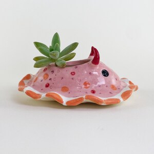 Sea Creature Planter, Pink Nudibranch Planter, Cute Sea Slug Plant Pot ...