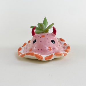 Sea Creature Planter, Pink Nudibranch Planter, Cute Sea Slug Plant Pot ...