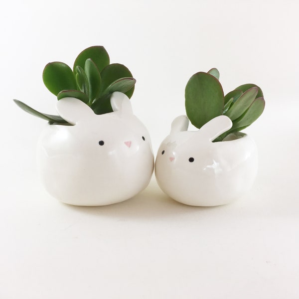 Rabbit Planter - Etsy