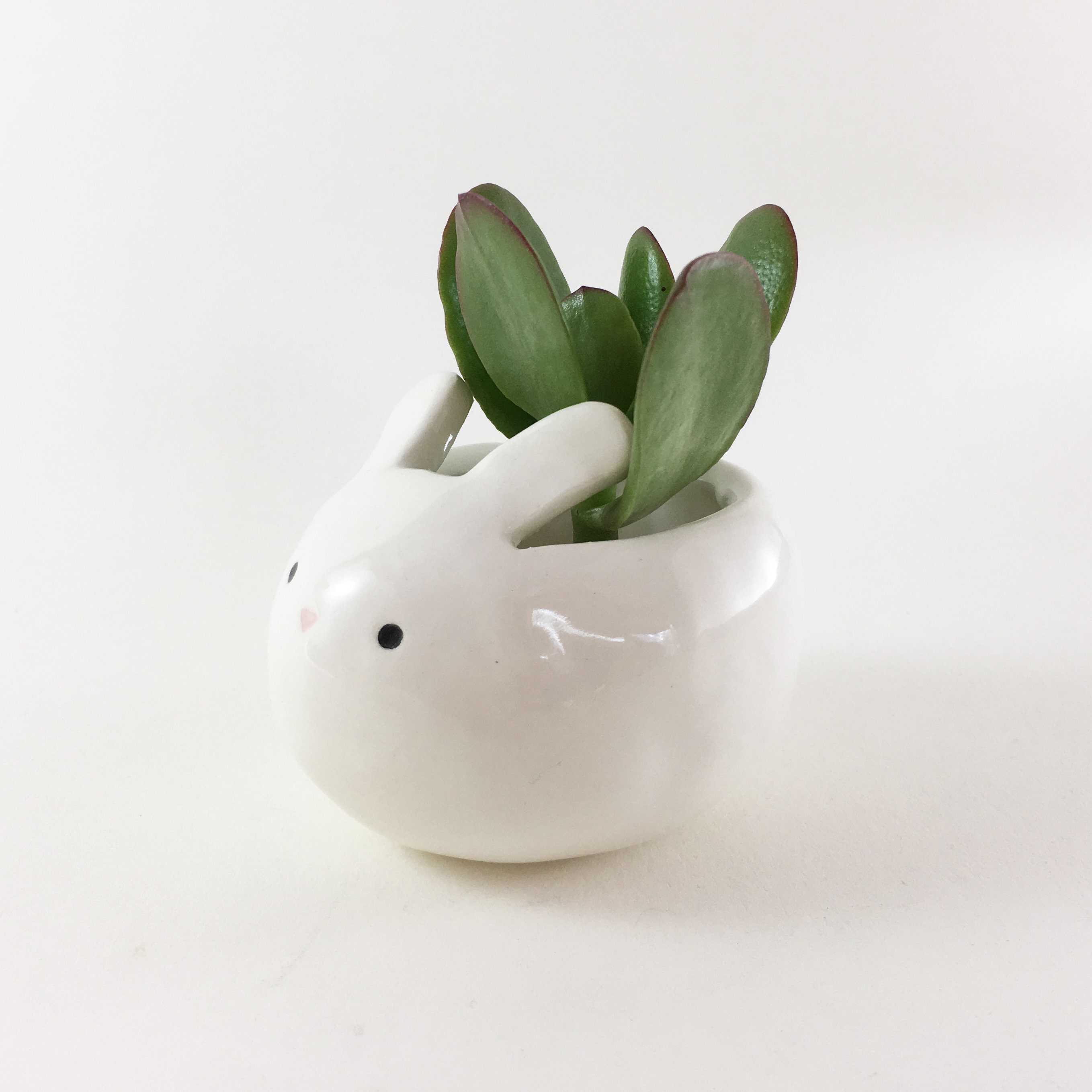 Tiny Bunny Planter Easter Bunny Plant Pot Cute Rabbit | Etsy
