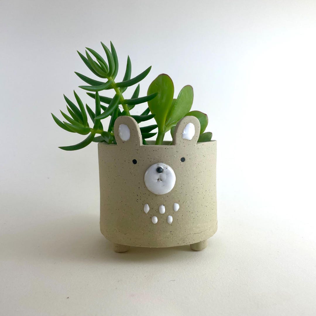 SECOND - Bear Planter, Sandy Bear - Etsy