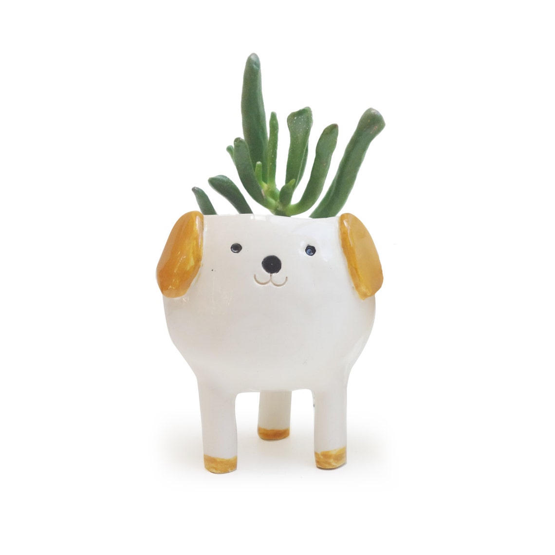 Cute Cat and Dog Planters Pair of Desktop Plant Pots White - Etsy