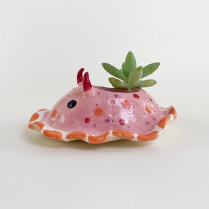 Sea Creature Planter, Pink Nudibranch Planter, Cute Sea Slug Plant Pot ...