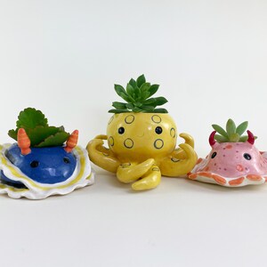 Sea Creature Planter, Pink Nudibranch Planter, Cute Sea Slug Plant Pot ...