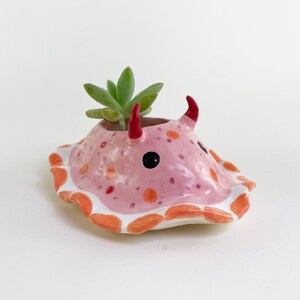 Sea Creature Planter, Pink Nudibranch Planter, Cute Sea Slug Plant Pot ...