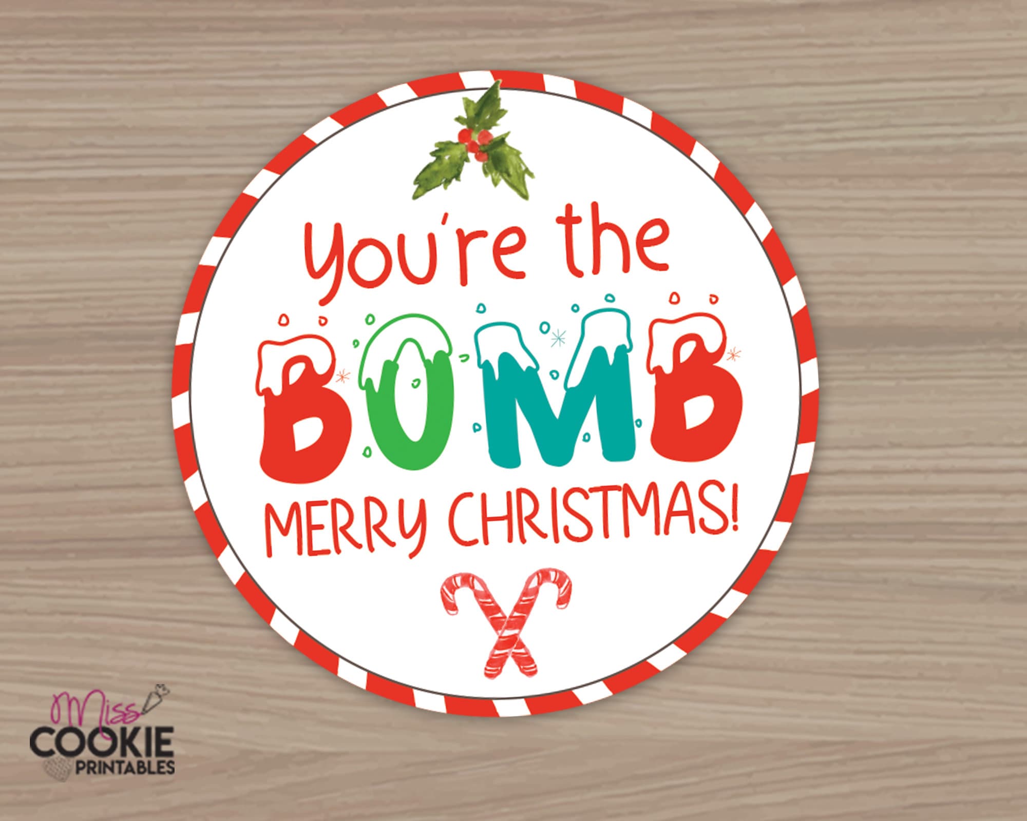 You're the BOMB Merry Christmas 2" Christmas Hot Chocolate Bomb Tag ...