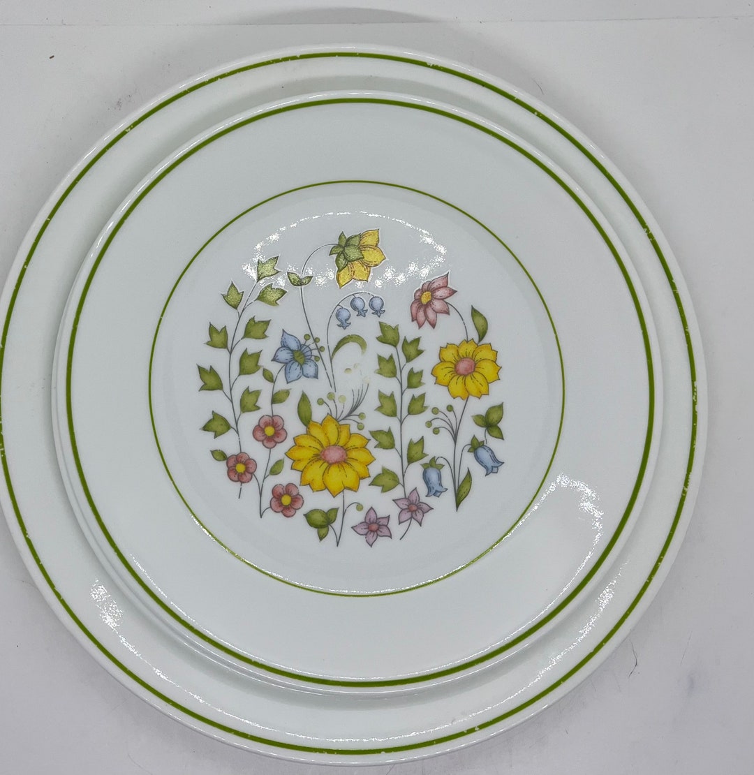 Vintage Corelle Meadow Dishes, Dinner Plates, Salad Plates, Spring ...