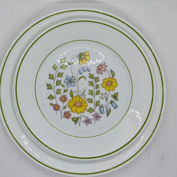 Corelle Meadow Pattern - Etsy