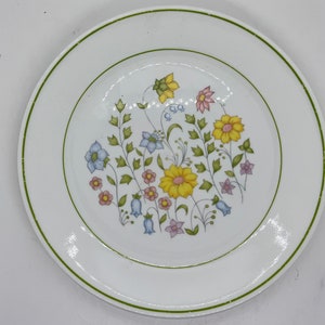 Vintage Corelle Meadow Dishes, Dinner Plates, Salad Plates, Spring ...