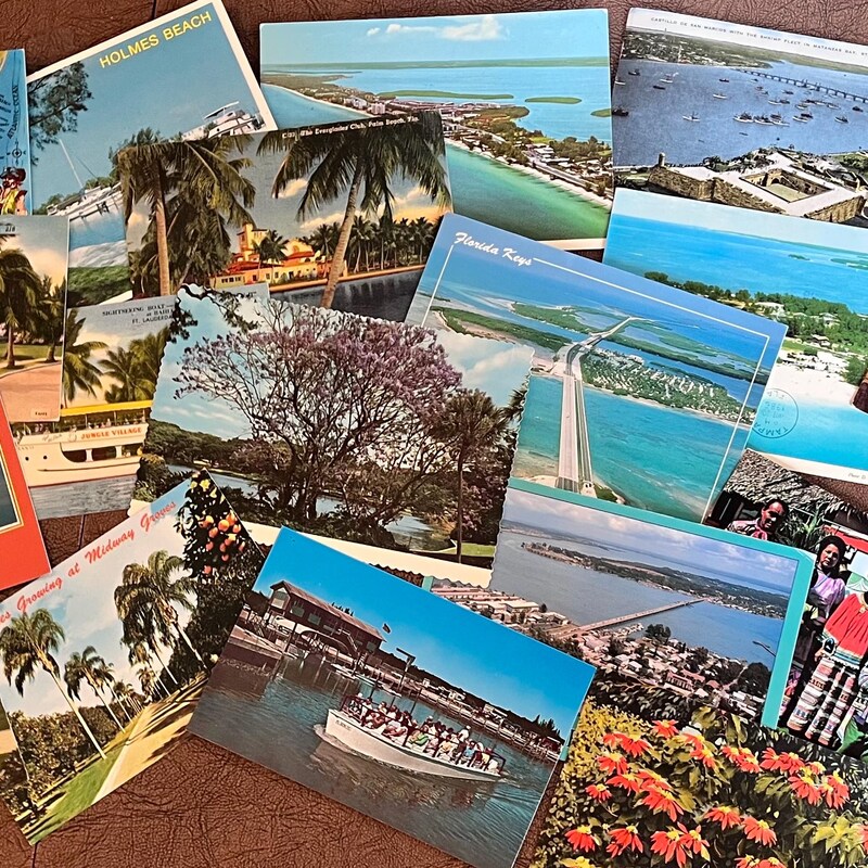 Florida Postcard - Etsy