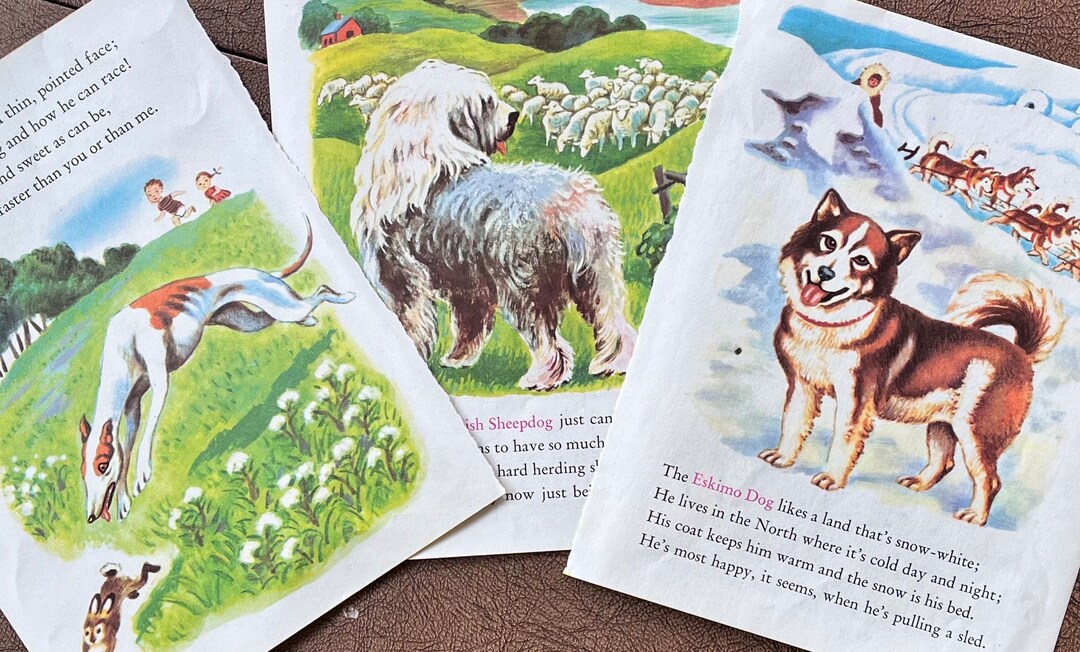 Vintage Book Page, Whippet Picture, Canadian Eskimo Dog Picture ...