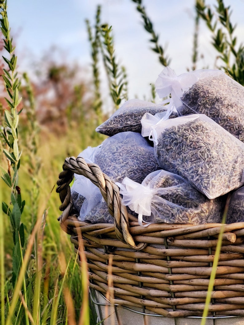 Lavender Sachet Bags Set of 12 for Drawers Favors Showers White Organza ...