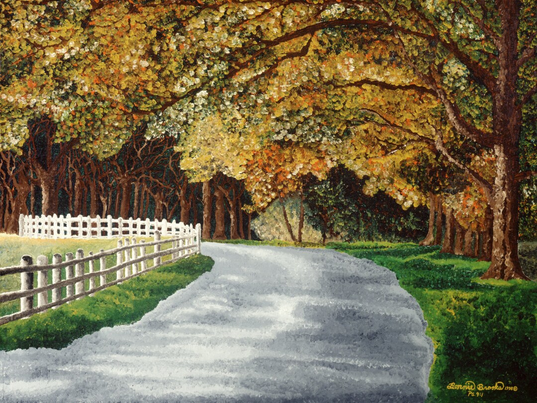 Fine Art Matted Print - Golden Path by Bonnie Brooks - Etsy