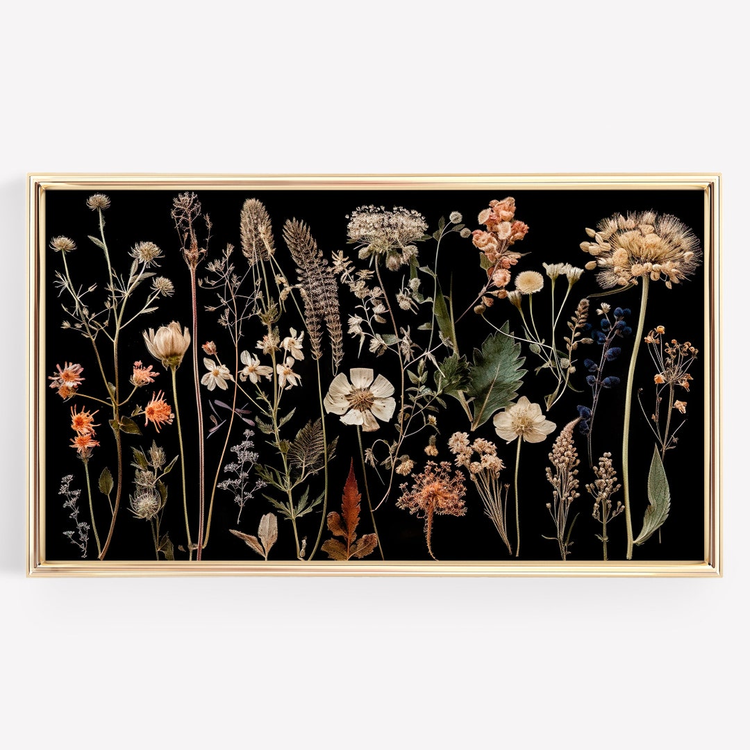 Wildflower Summer Frame TV Art: Botanical Floral Screensaver , Digital ...