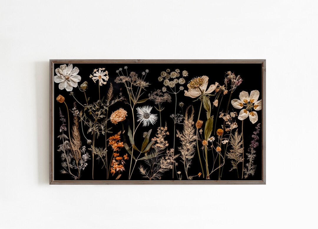Moody Fall Wildflower Frame TV Art: Dark Botanical Screensaver ...