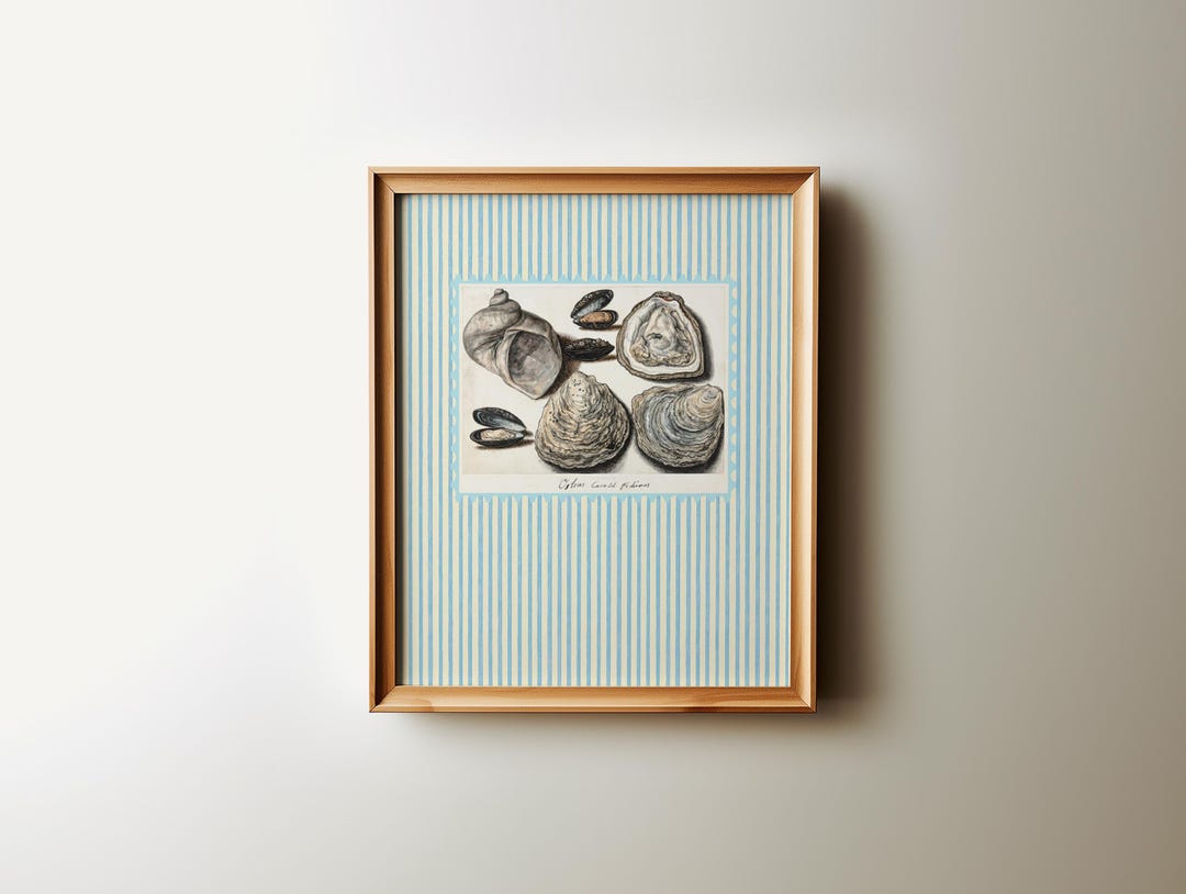 Oyster Shell Print, Beach Nautical Wall Art - Etsy