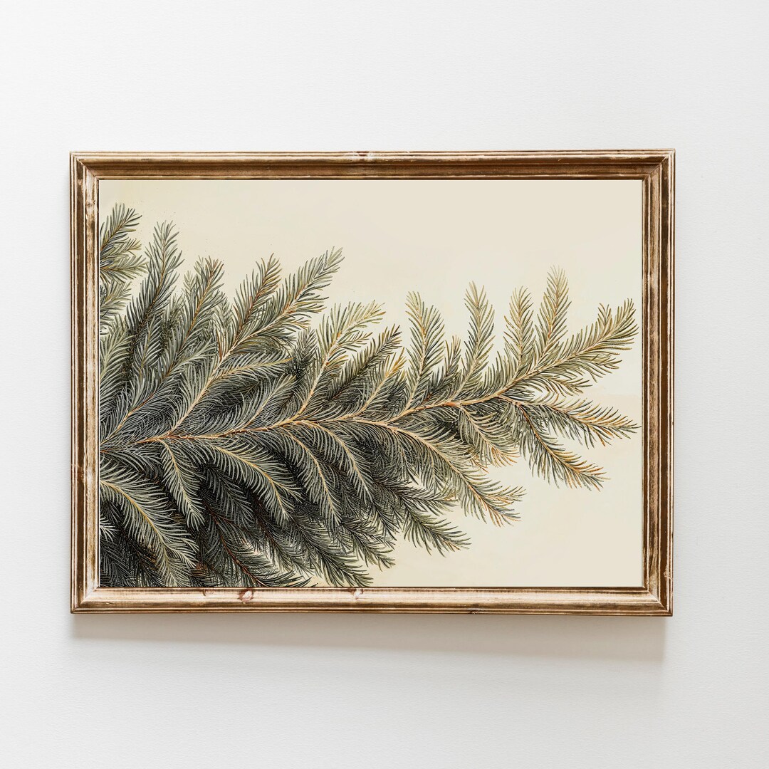 Winter Evergreen Branch Print, Botanical Conifer Wall Art - Etsy