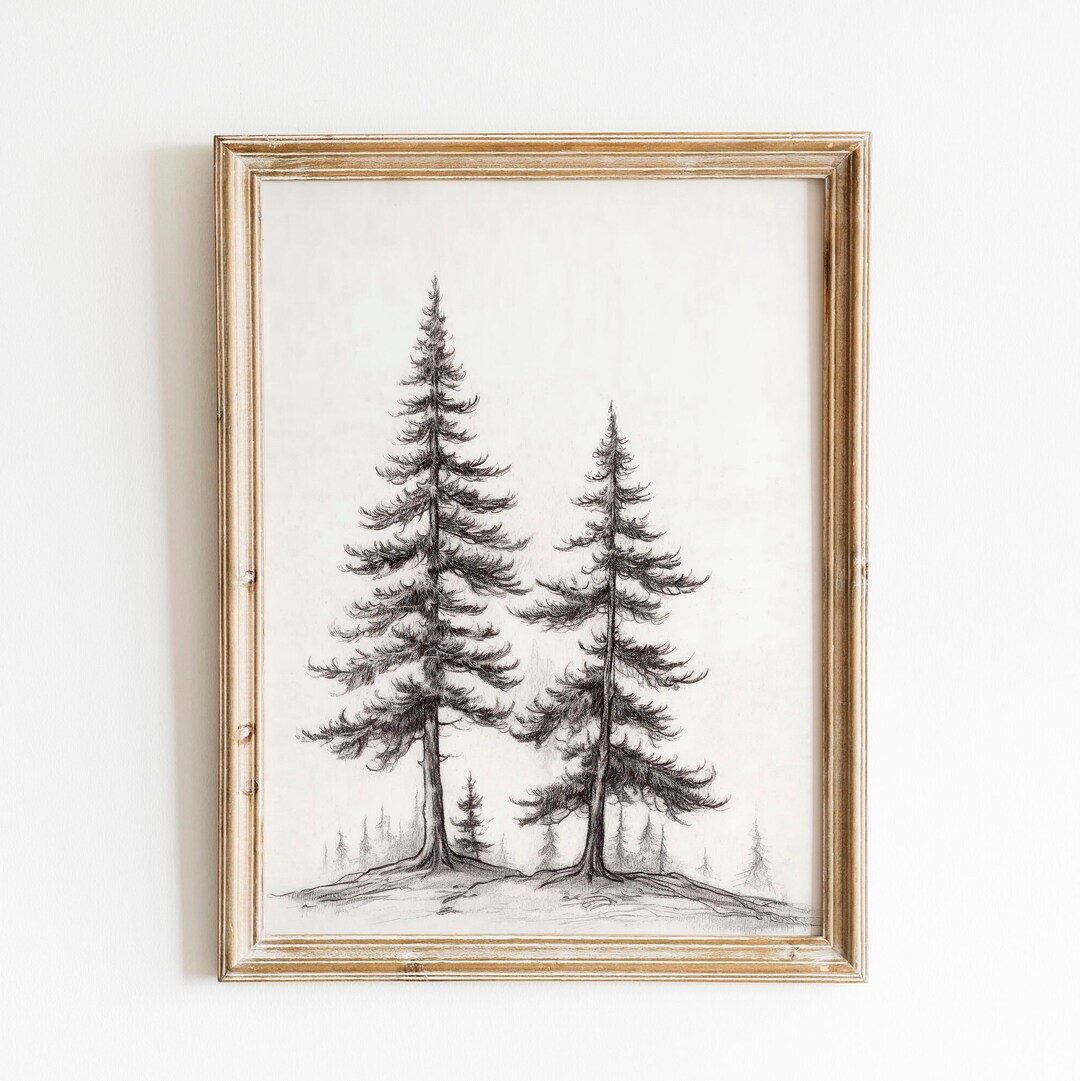 Pine Trees Drawing Illustration Two Trees Printable Wall Art - Etsy ...