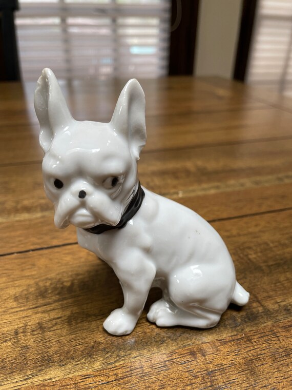 White Miniature French Bulldog