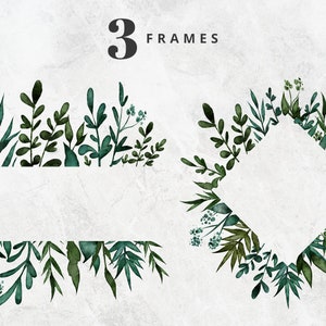 Watercolor Green Leaves Clip Art, Botanical Leaves Illustrations ...