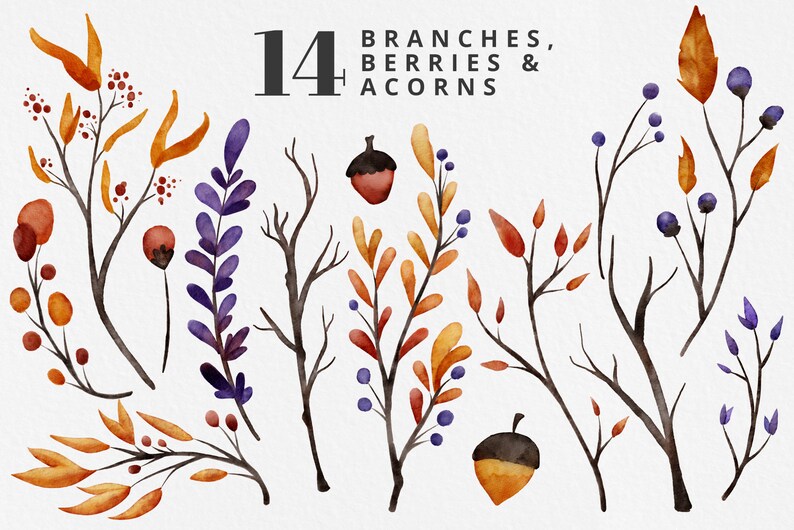 Watercolor Fall Clip Art Set, Autumn Clipart, Watercolor Leaves ...