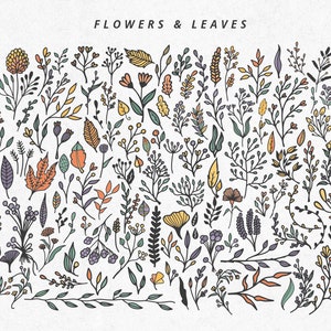 Hand Drawn Fall Clip Art Set, Autumn Clipart, Halloween Clipart ...