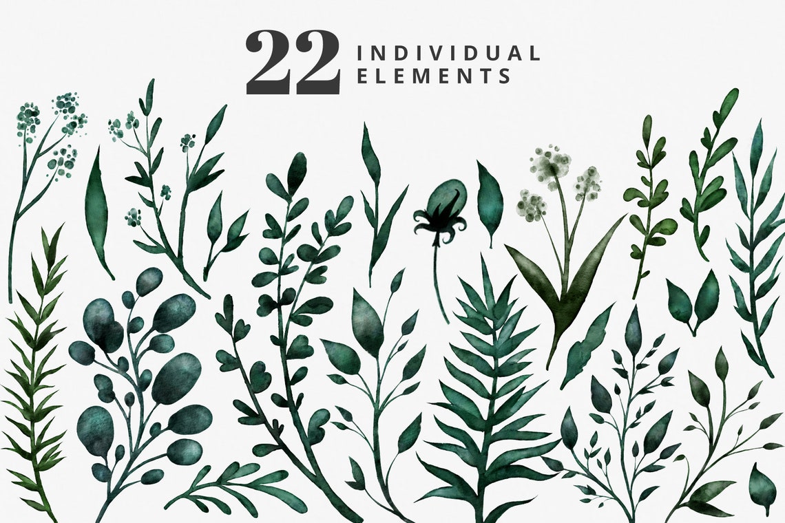 Watercolor Green Leaves Clip Art Botanical Leaves | Etsy