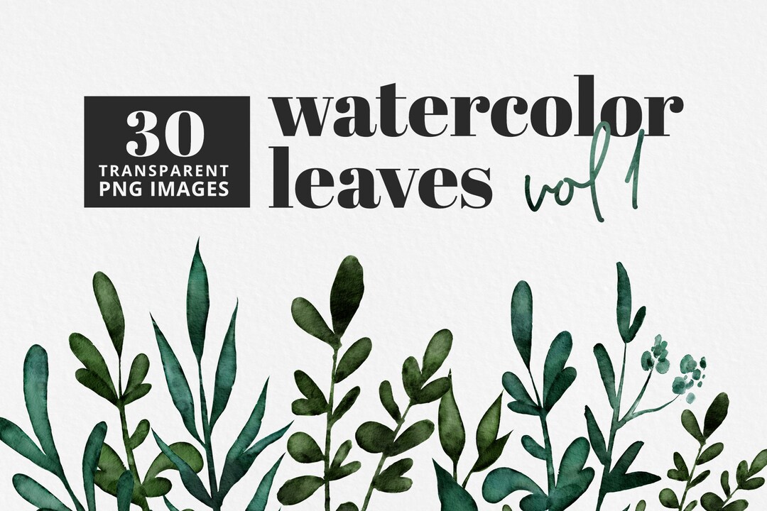 Watercolor Green Leaves Clip Art, Botanical Leaves Illustrations ...