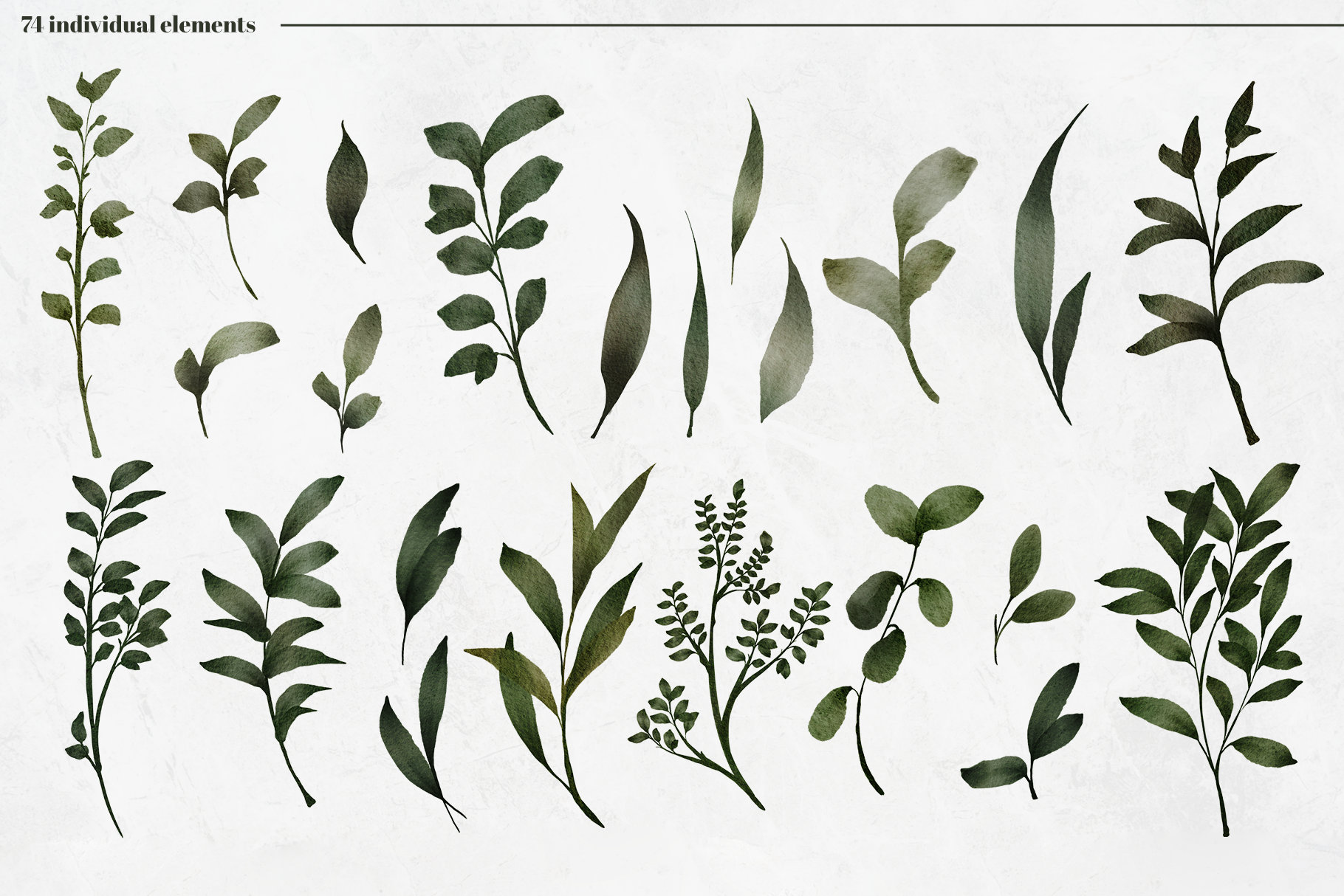 Green Watercolor Leaves Clip Art, Botanical Leaves Illustrations ...