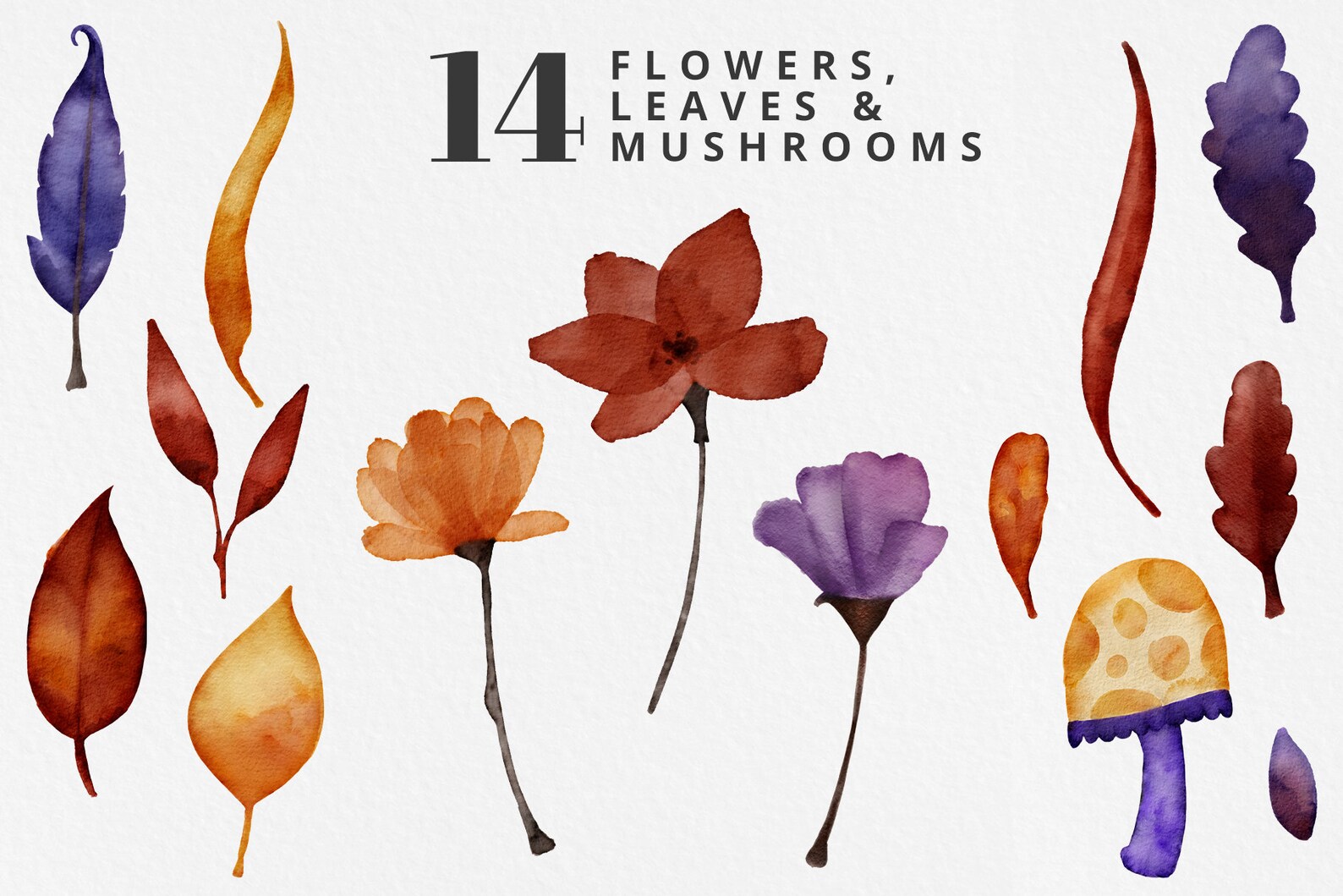 Watercolor Fall Clip Art Set Autumn Clipart Watercolor - Etsy