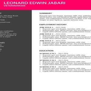 EZ Resume Templates - Modern and Professional Resume Templates - Etsy