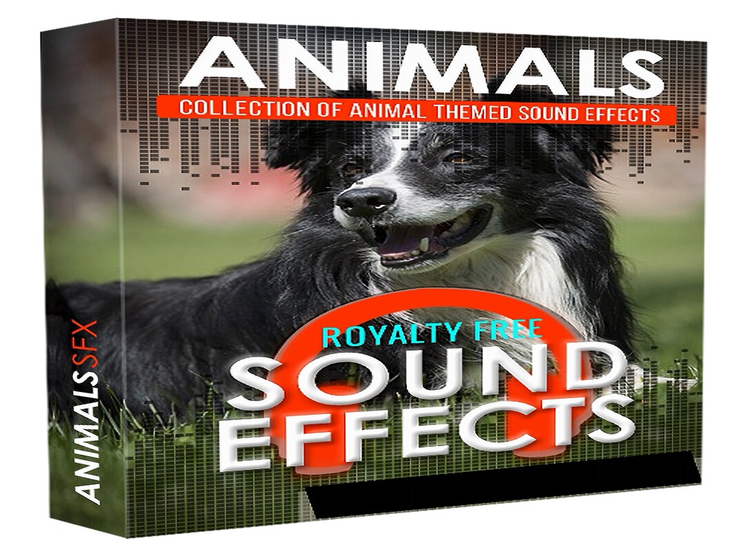 Wild Symphony: A Versatile SFX Pack for Animal Lovers - Enhance Your ...