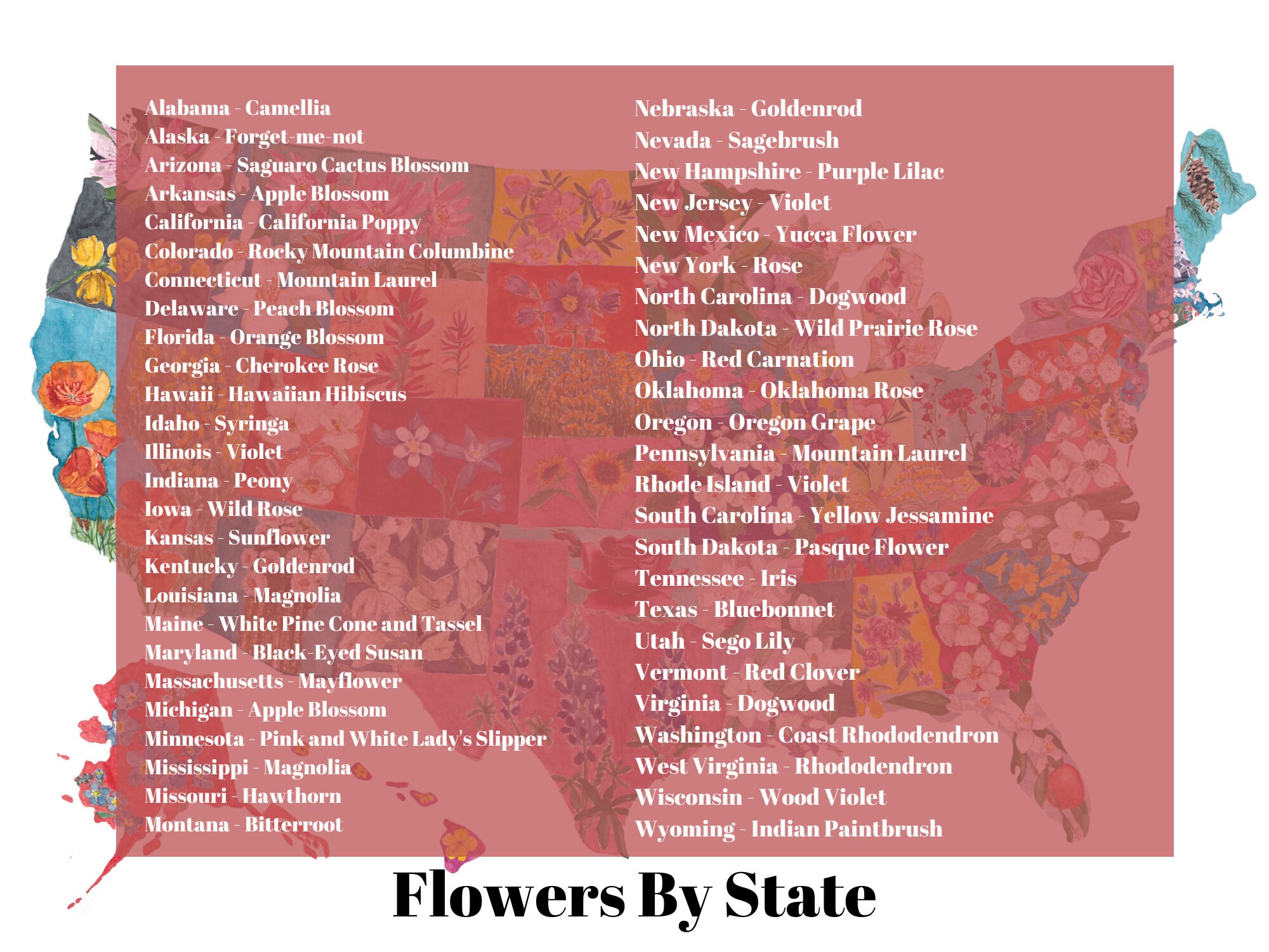 USA State Flower Map Vinyl Sticker - 3x2.25" | Watercolor Map Art ...