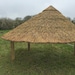 Cape Thatching Reed Seeds (elegia Tectorum) 25+seeds - Etsy