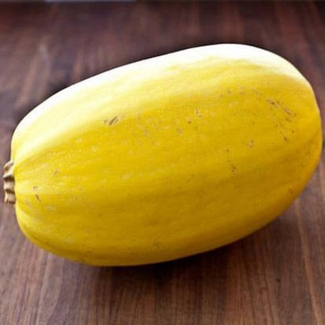 Squash Winter Spaghetti Vegetable Seeds Cucurbita pepo | Etsy