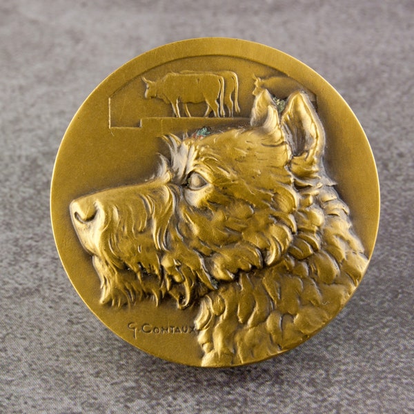 Dog Show Medal - Etsy