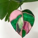 Pink Princess Philodendron Stained Glass Suncatcher - Etsy