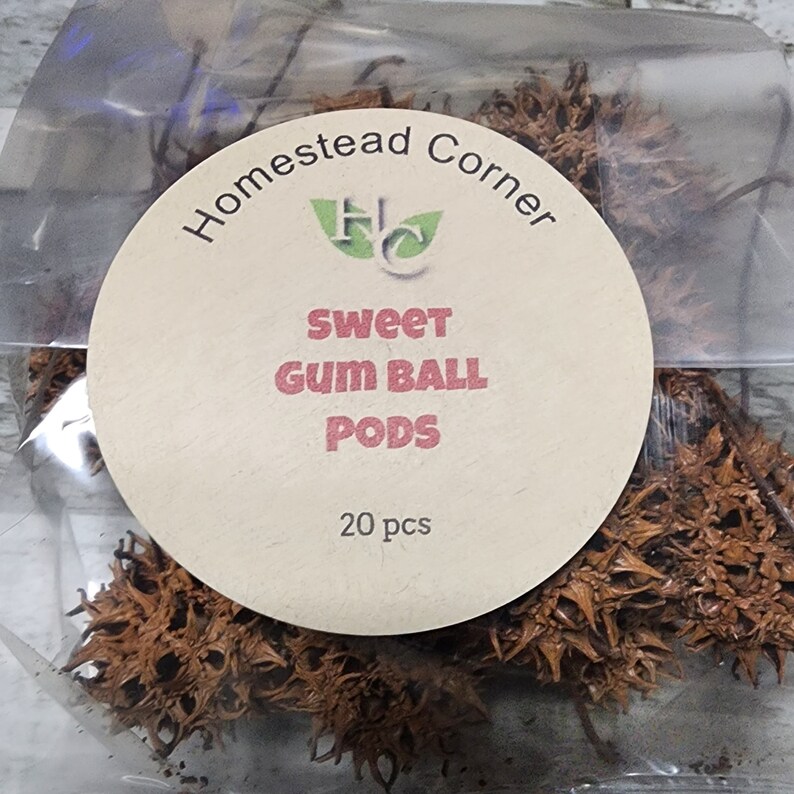 20 Sweet Gum Ball Seed Pods Excellent for Crafts Potpourri - Etsy