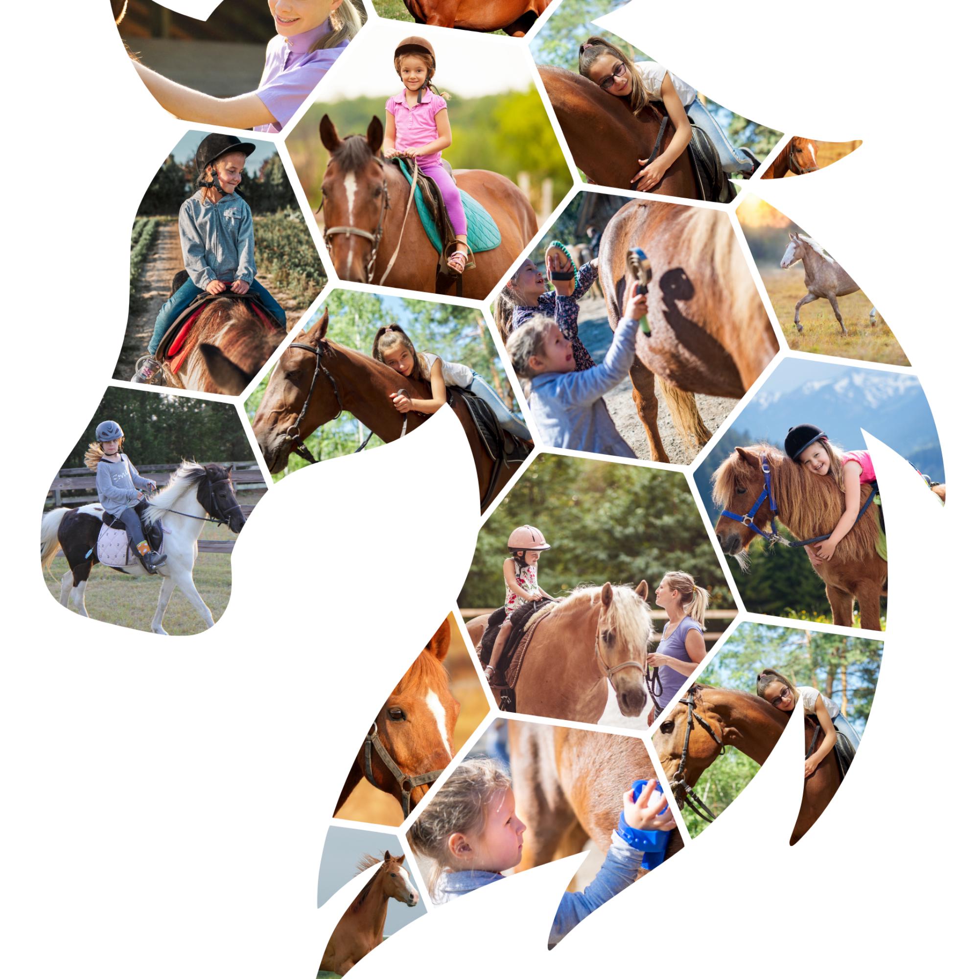 Horse Silhouette Photo Collage Bundle | Editable Canva Templates ...