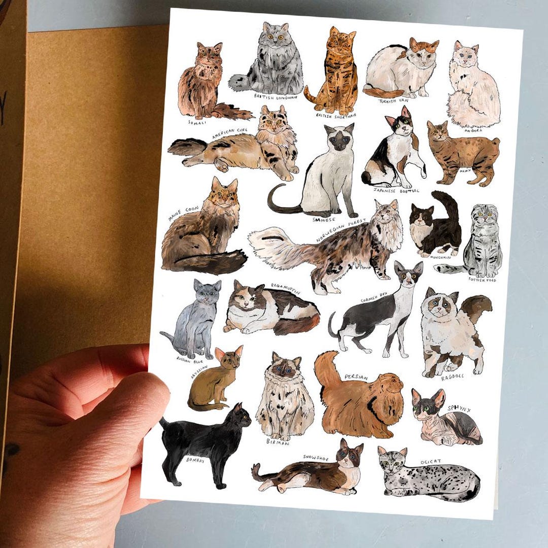 Pets Temporary Tattoos : Dogs / Cats - Etsy