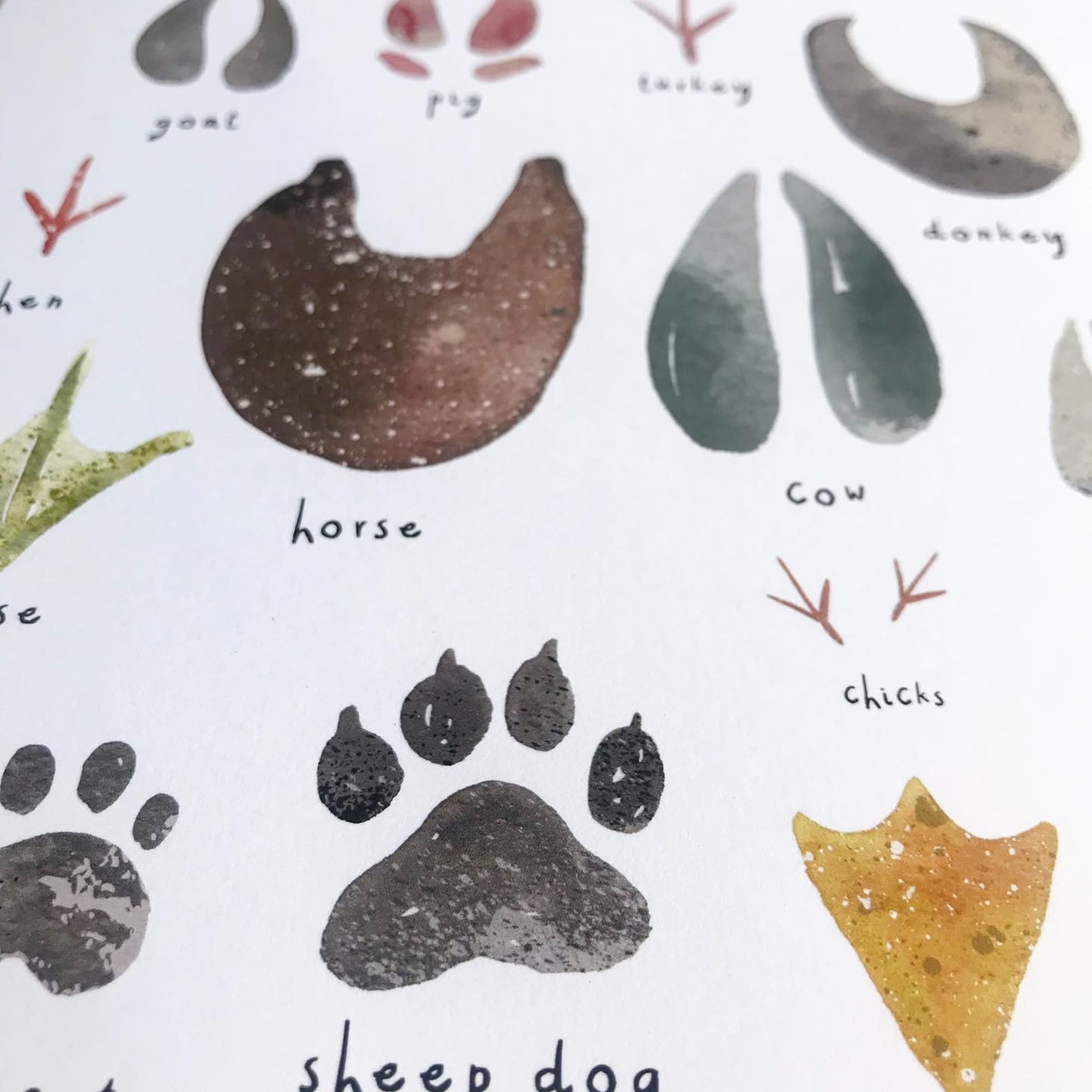 Farm Animal Footprints art print | Etsy