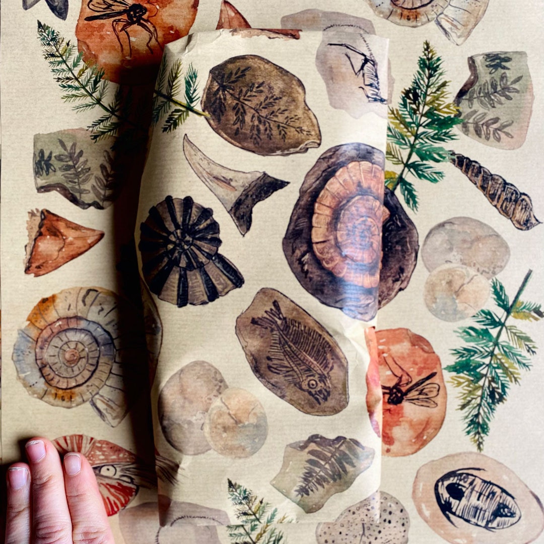 Fossil Hunt A3 Gift Wrap X 5 Sheets With Matching Gift Tags - Etsy