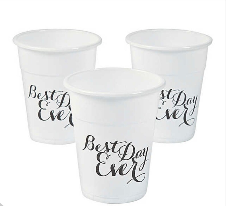 Best Day Ever Plastic Cups Minimalist Cheerful White Celebration Cups ...
