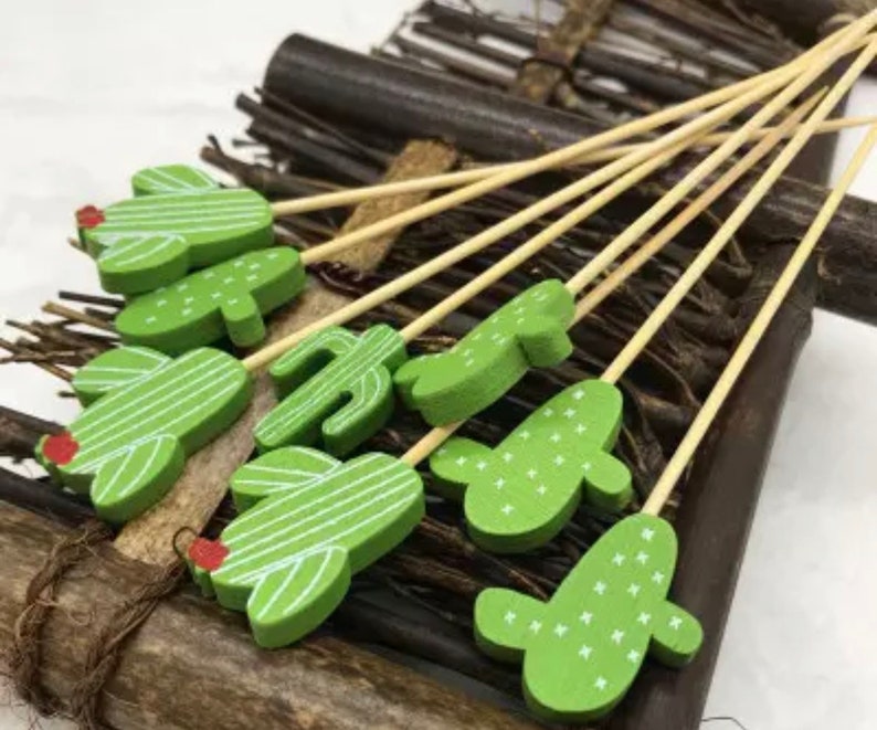 Cactus Food Picks With Wooden Sticks Appetizers Fruits Snacks - Etsy