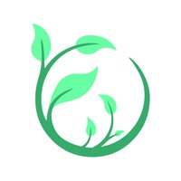 Mango Hair Soap - Etsy