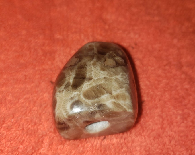 Petoskey Stone Toke Stone/ Joint Holder - Etsy