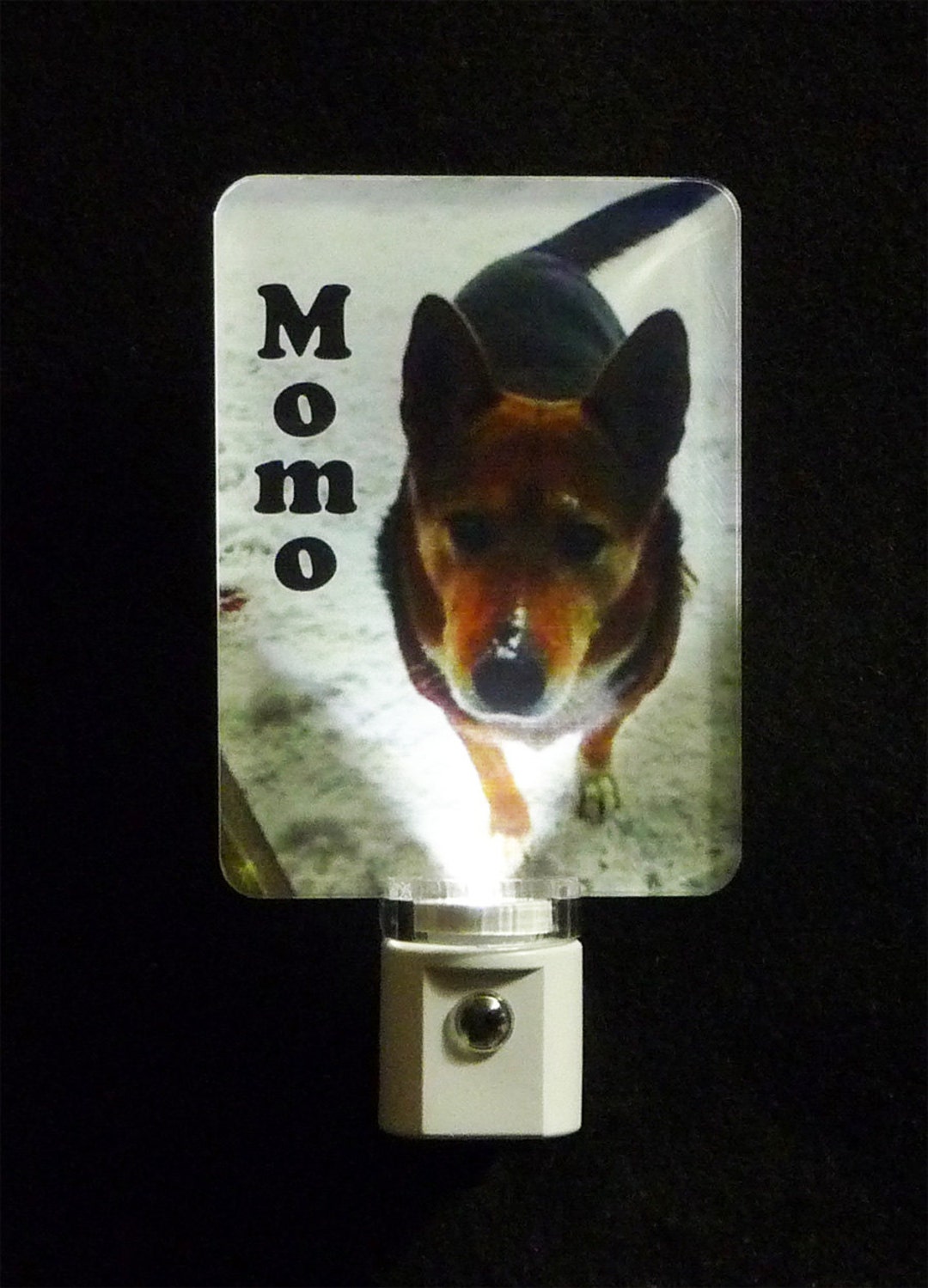 Personalized Photo Night Light UV Printed Acrylic for a Durable Finish ...