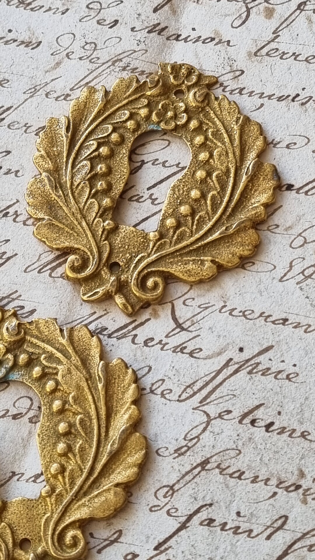 Exquisite Matching Pair of 19thc Antique French Gilt Ormolu Escutcheons ...